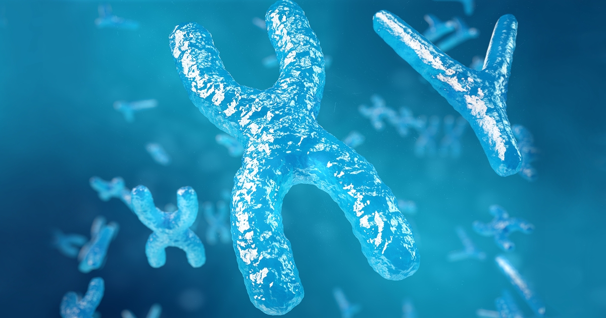 What Is Karyotyping? Methods and Their Significance | Synthego