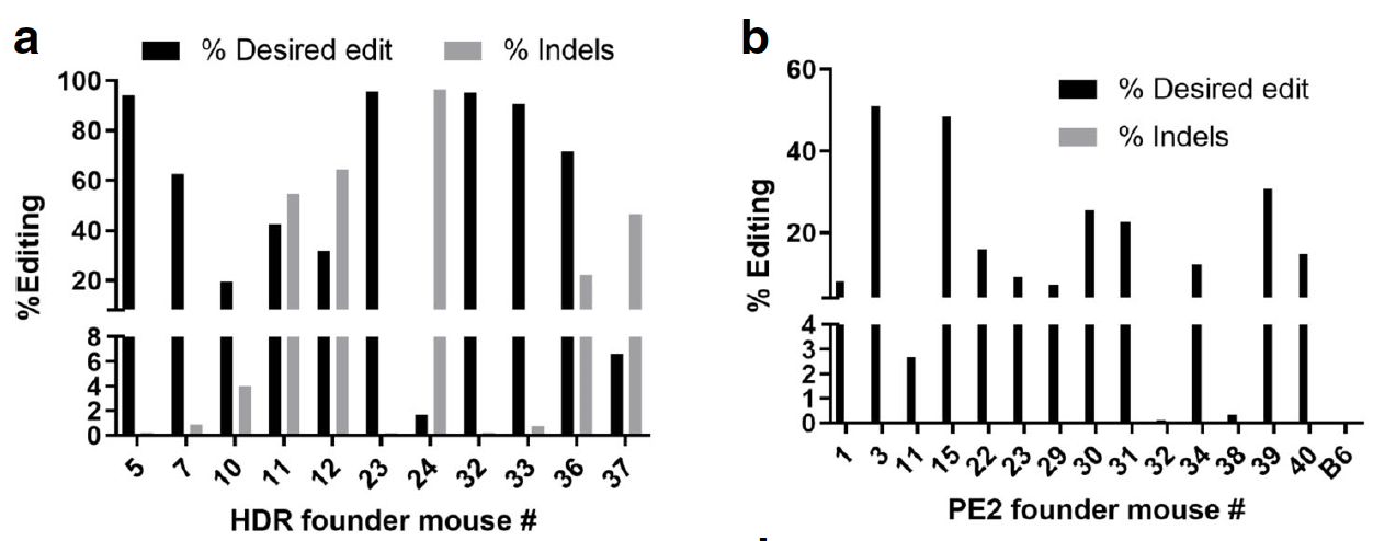 Prime Editing Enables Higher Fidelity Gene Editing in Mice Than ...