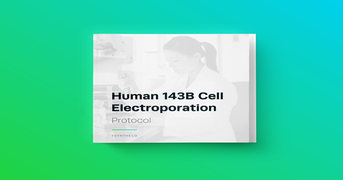 Human 143B Cell Electroporation Protocol