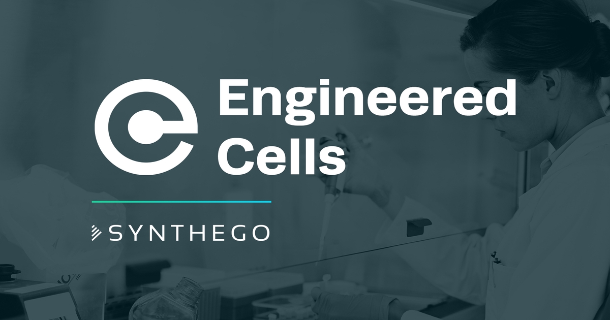 New Engineered Cells Product Portfolio Delivers Better CRISPR Access