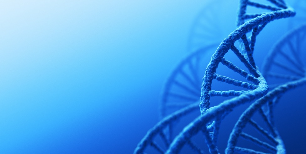 SNP-Chip: New CRISPR-Chip Iteration Enables Rapid Detection of Single ...