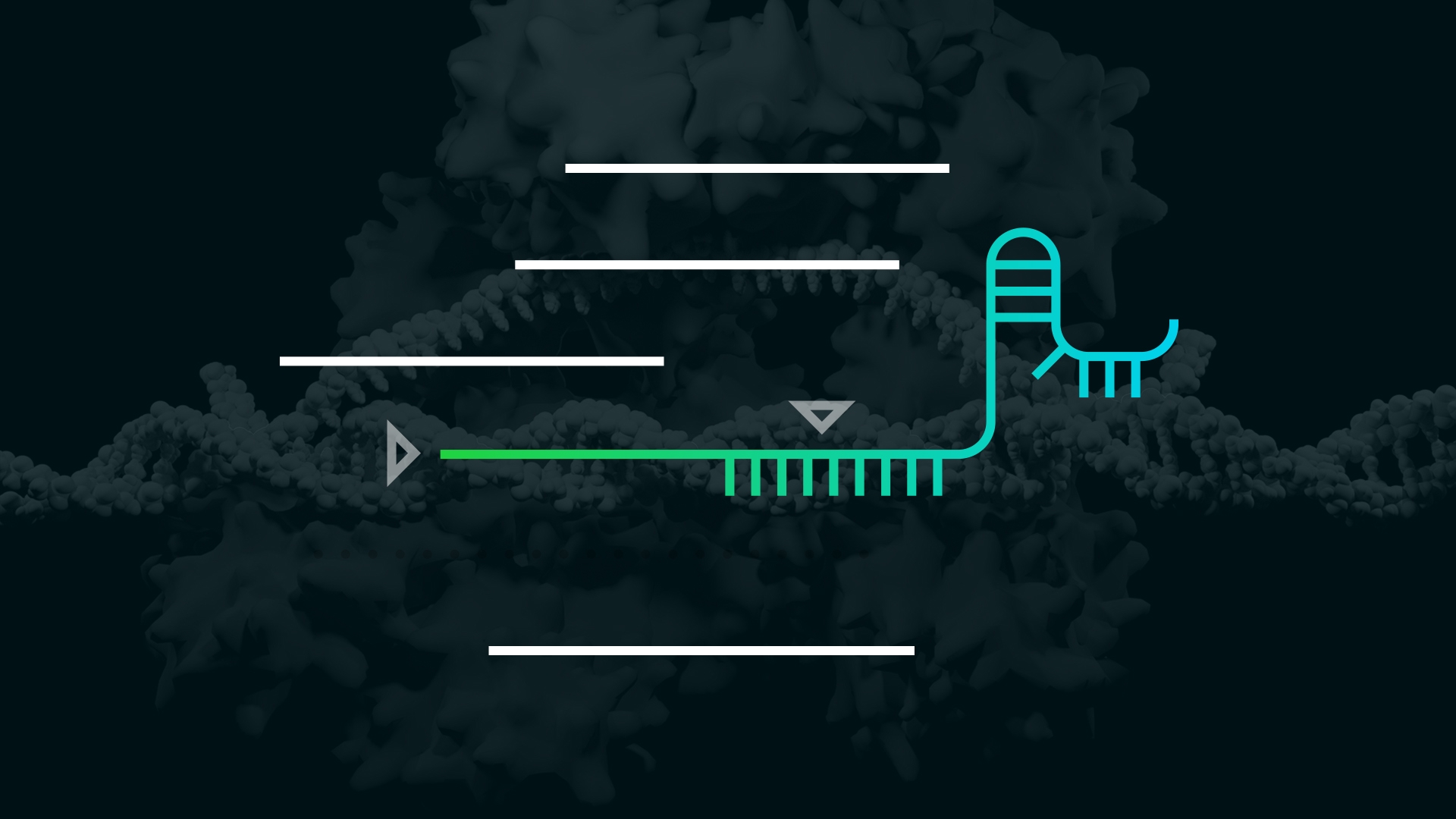 How to Design CRISPR Guide RNAs For Highest Editing Efficiencies