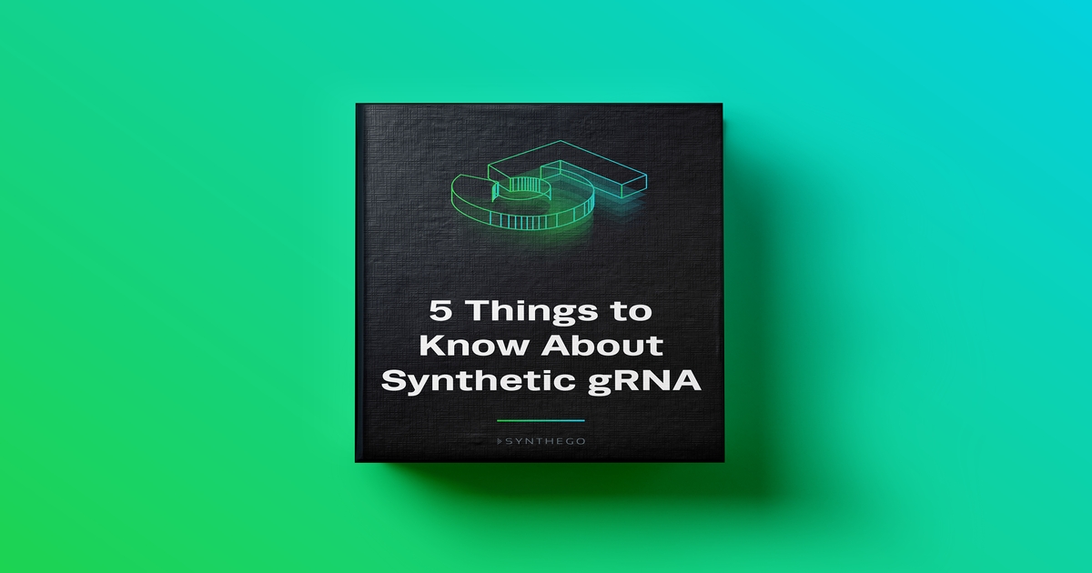 5 Things To Know About Synthetic Guide RNA