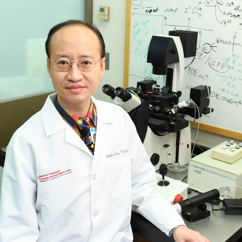 CRISPR Conversation with Stephen Tsang