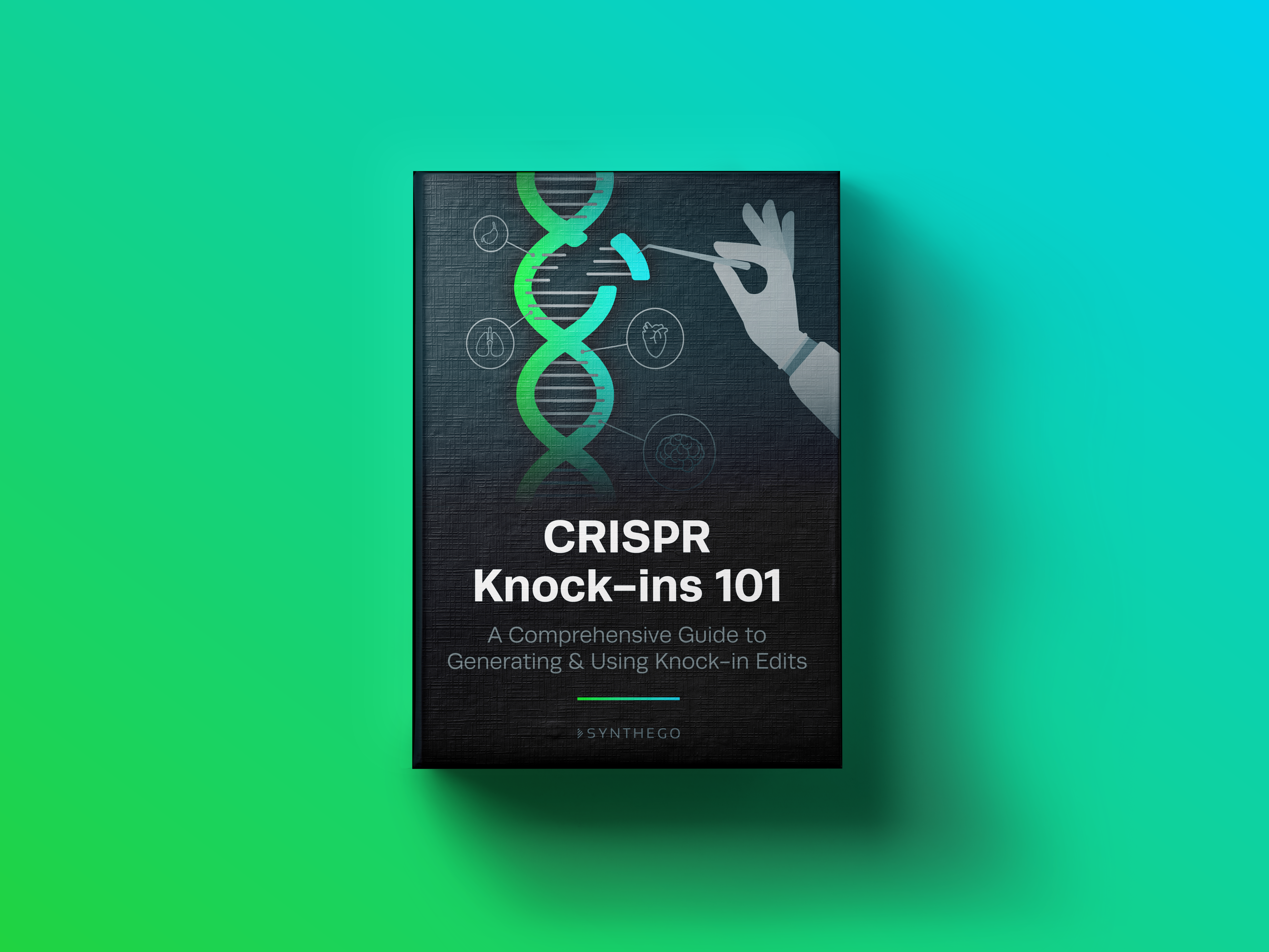 How To Use CRISPR: Your Guide to Successful Genome Engineering