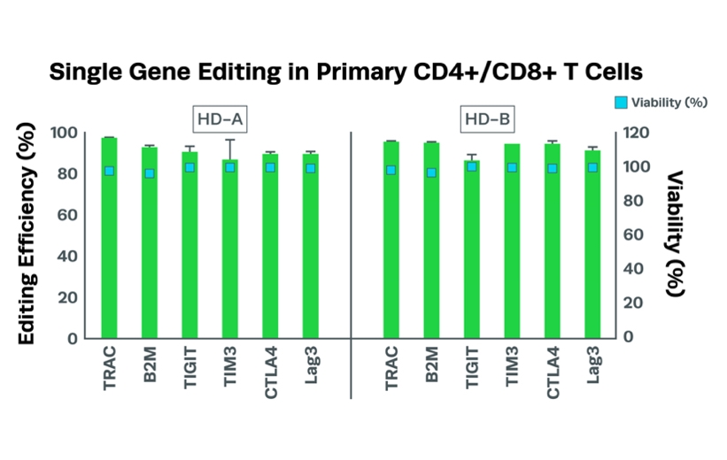 The Complete Guide to Understanding CRISPR sgRNA