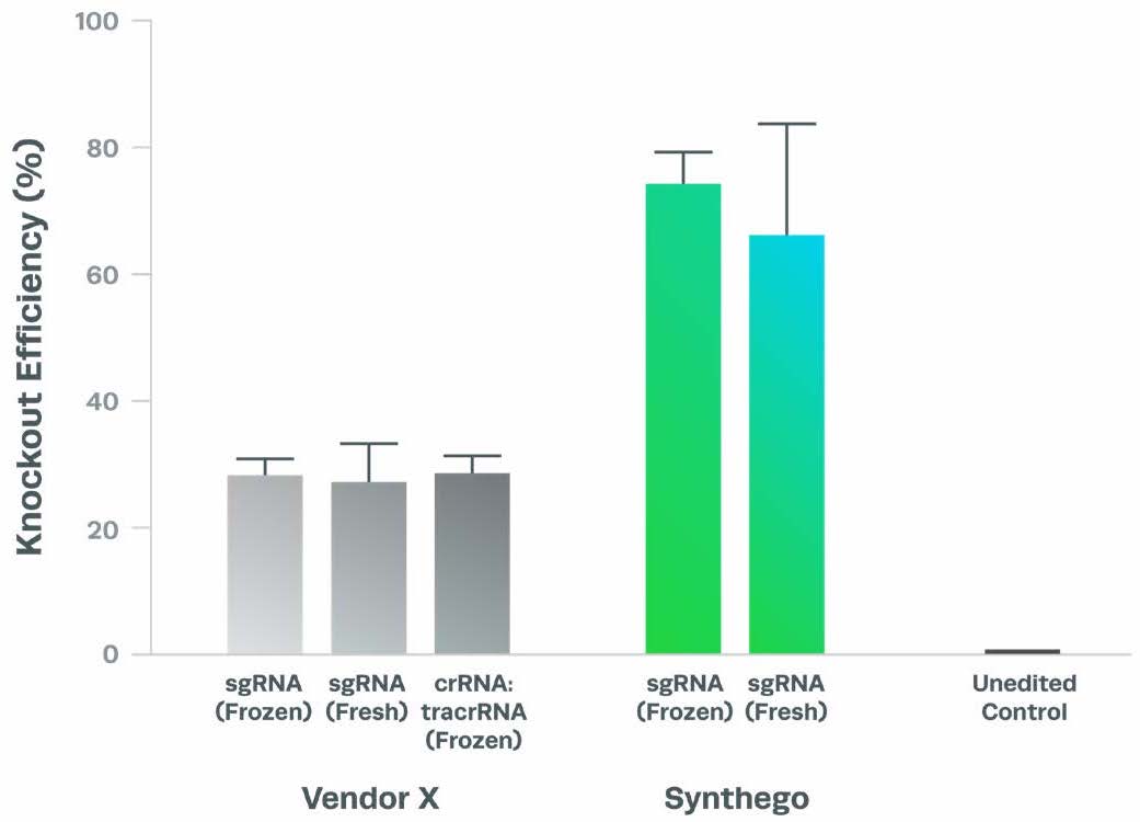 The Complete Guide to Understanding CRISPR sgRNA