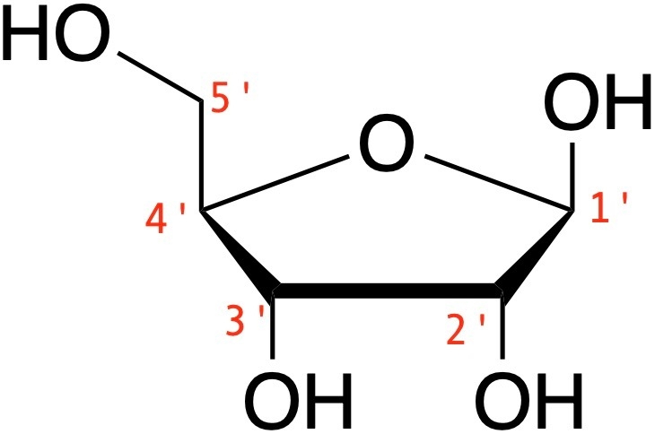 Demystifying CRISPR gRNA Chemical Modifications