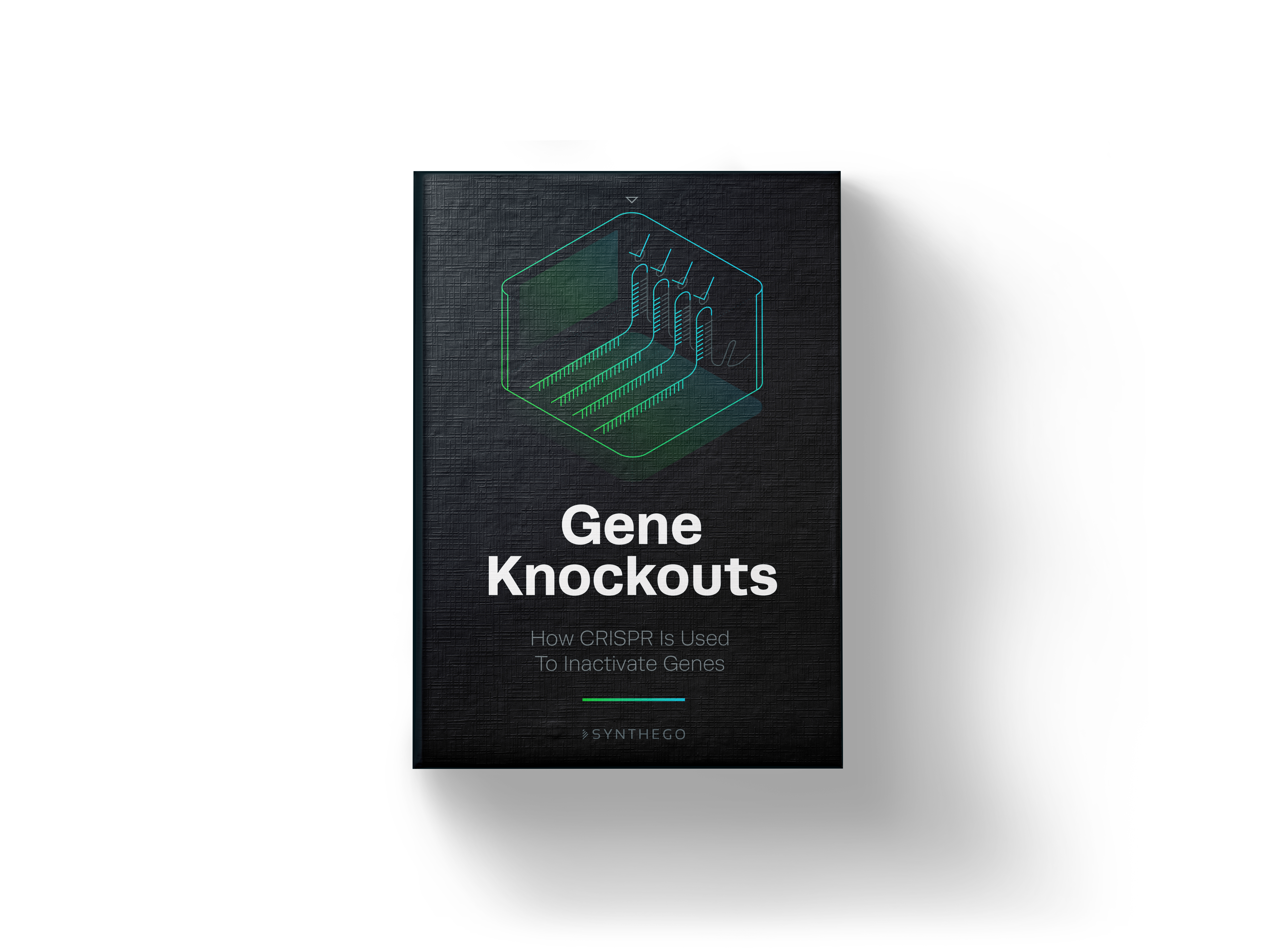 A Step-by-Step Guide on Gene Knockouts