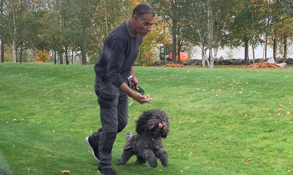 Huffaker: A dog named Clive | RACER