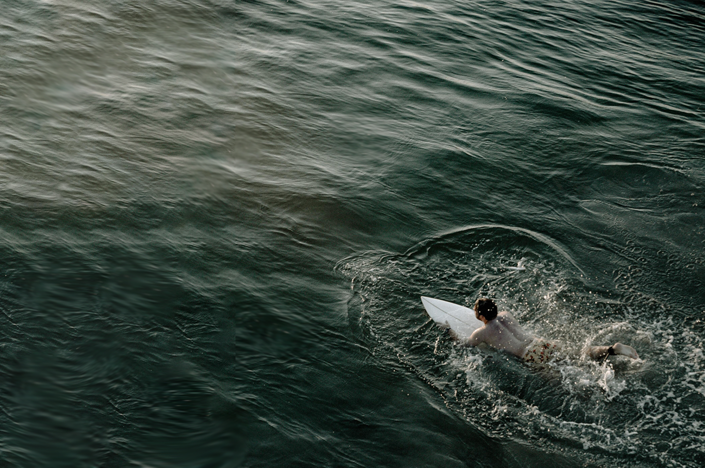 Surf's Up | Stake