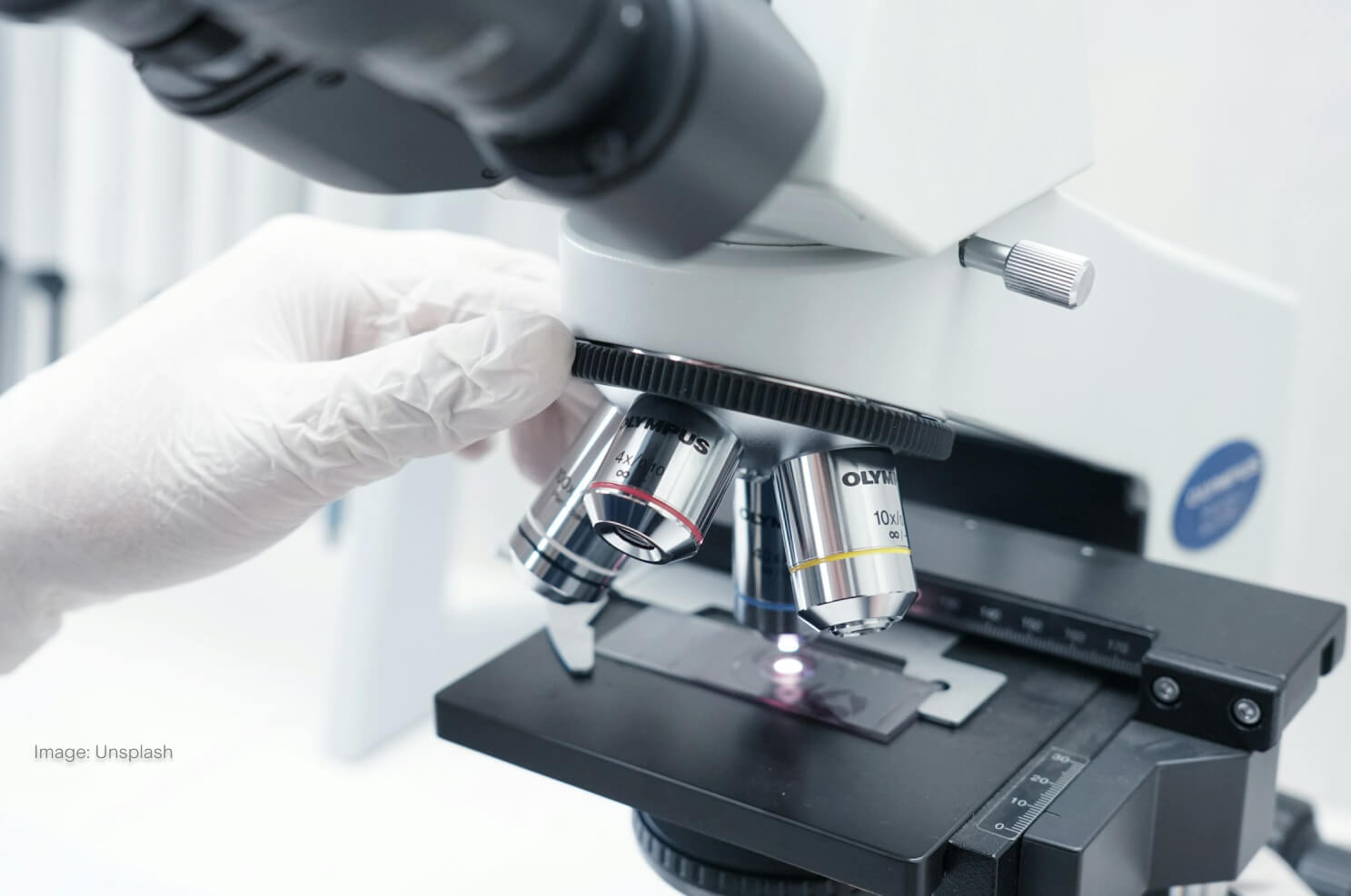 Are these the best healthcare ETFs to watch? [2025] | Stake