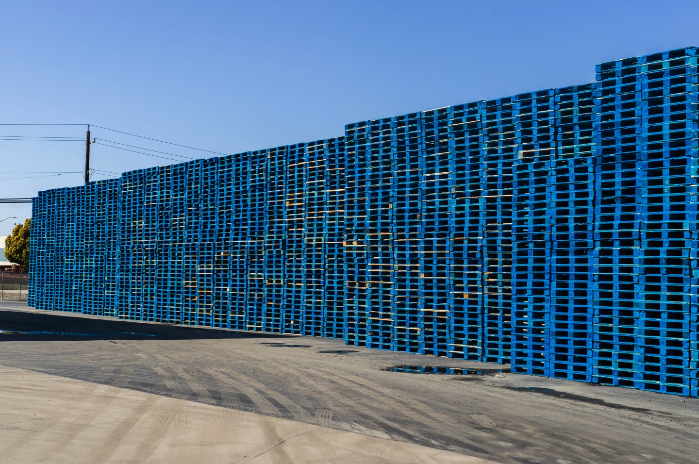 Under the Spotlight AUS: Brambles Limited (BXB) | Stake