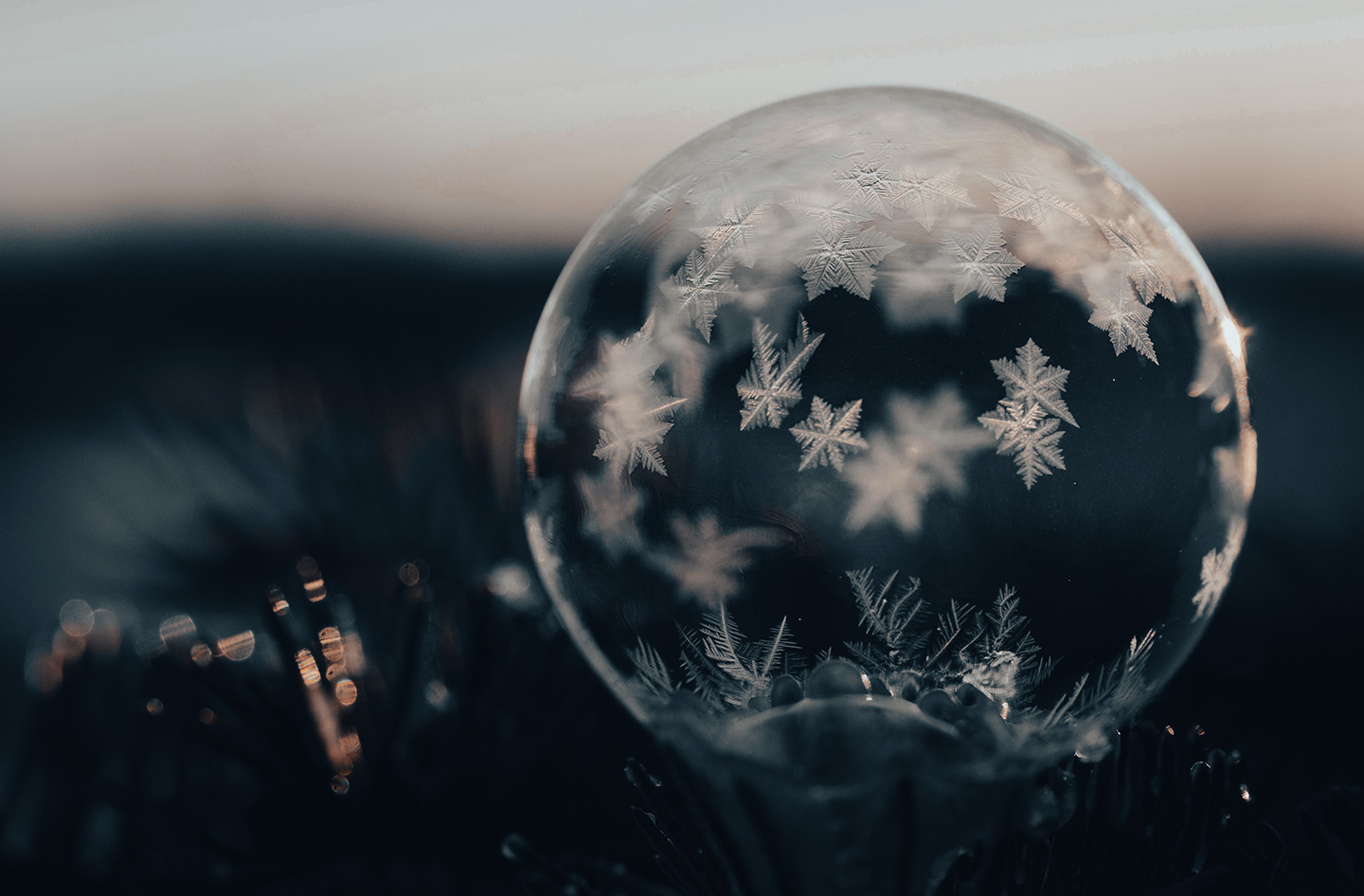 Under the Spotlight Wall St: Snowflake Inc. (SNOW) | Stake