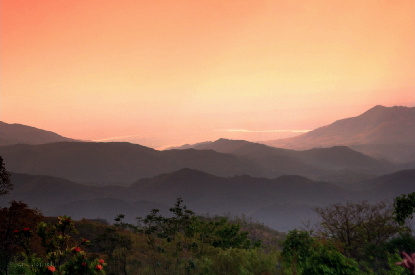 How to buy NGX Limited (NGX) shares | Stake