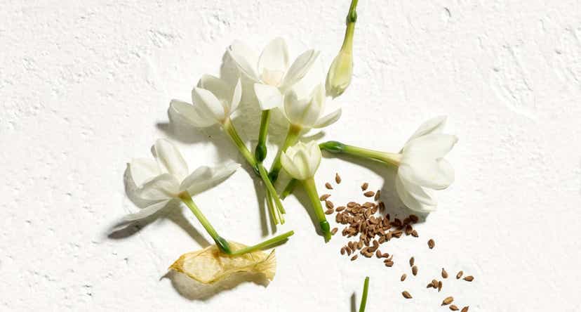 Coty launches the first ever refillable perfume achieving Cradle to ...