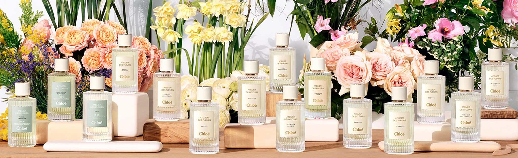 Chloé - Prestige Brands - Coty