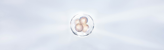 Lancaster - Prestige Brands - Coty