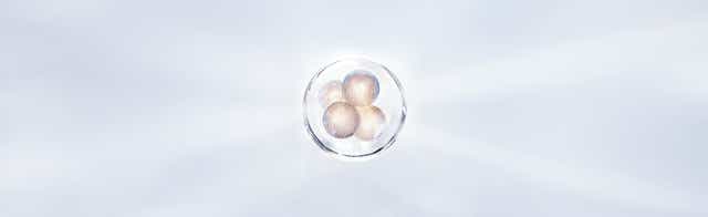 Lancaster - Prestige Brands - Coty