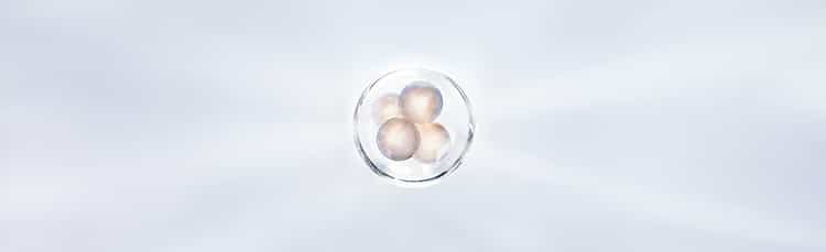 Lancaster - Prestige Brands - Coty