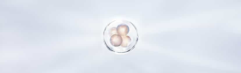 Lancaster - Prestige Brands - Coty