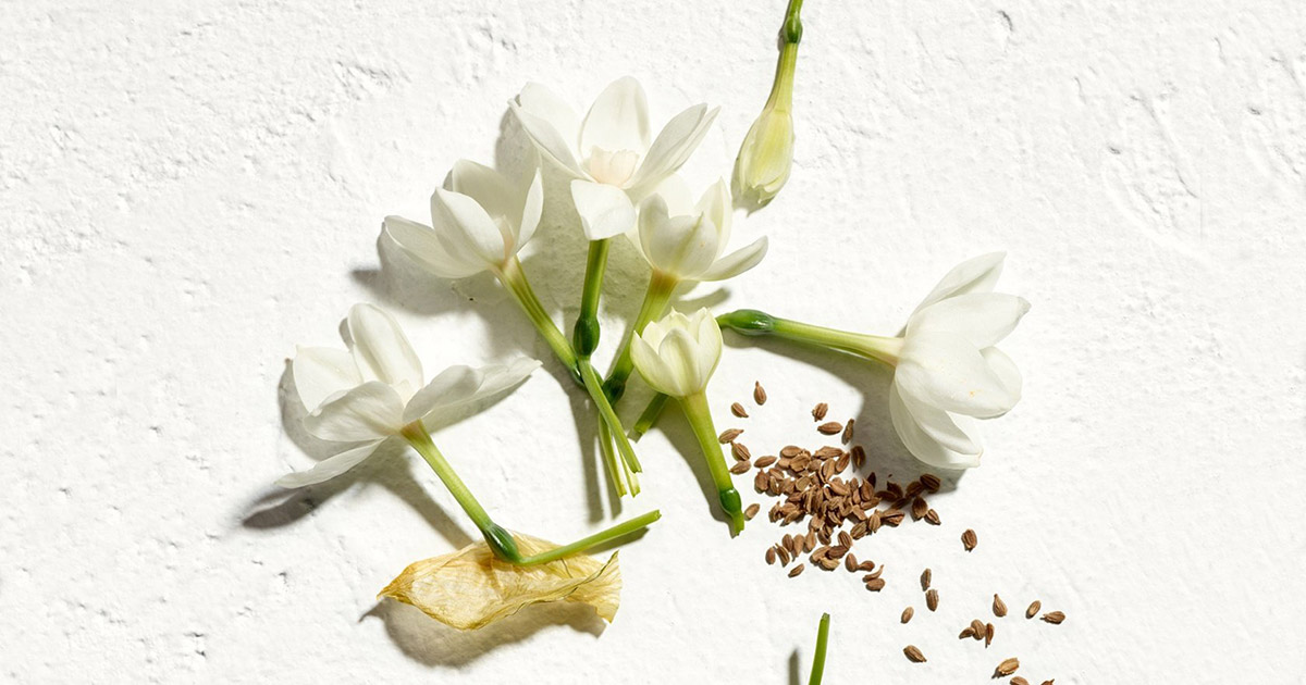 Coty launches the first ever refillable perfume achieving Cradle to ...