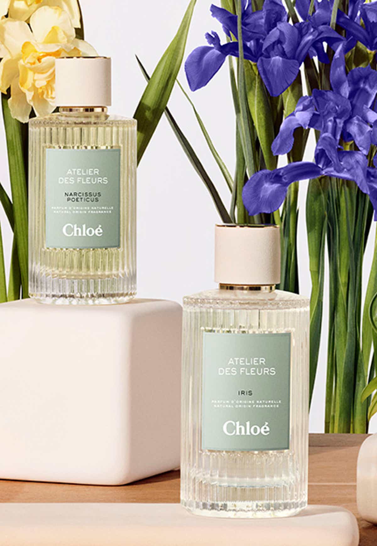 Chloé - Prestige Brands - Coty