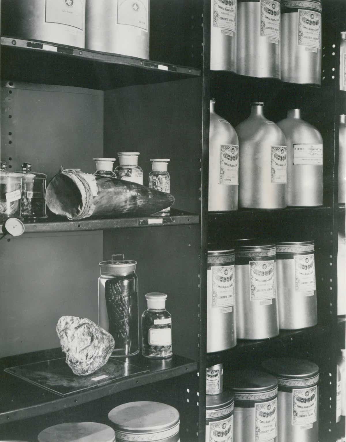 Our purpose : Together we unleash every vision of beauty - Coty