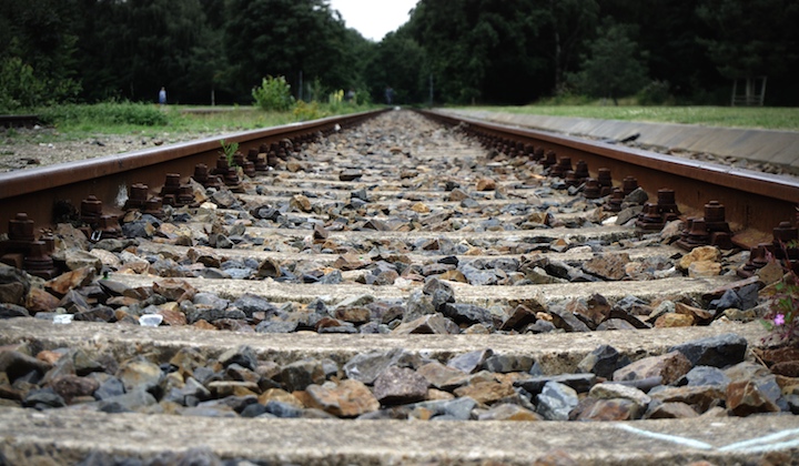 Emily Stolfo | Elastic