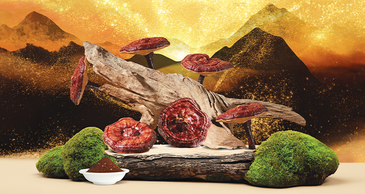 Ganoderma Lucidum: Kebijaksanaan Tradisional Bertemu Kesejahteraan ...