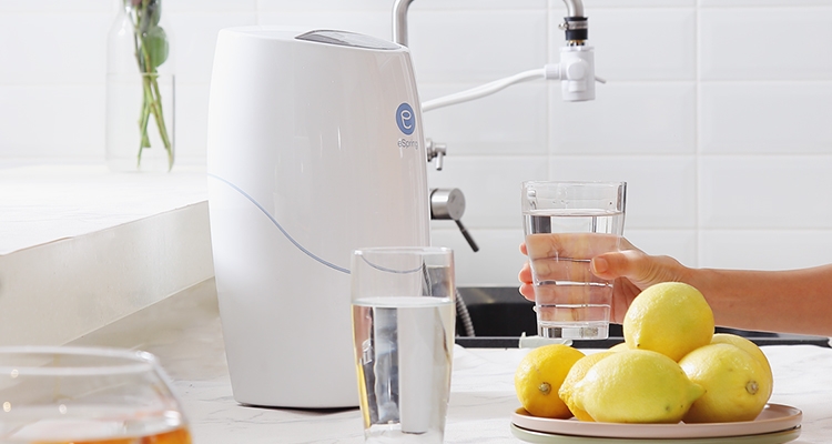 Ensure Clean And Mineralised Drinking Water By Replacing Your eSpring ...