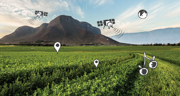 Does It Matter If Your Supplements Are Traceable? | Nutrilite | AmwayNow