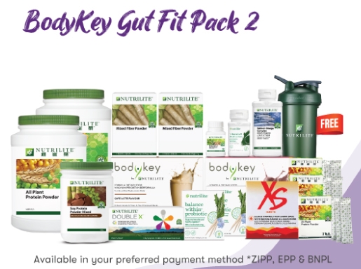 Gut Fit Programme Overview