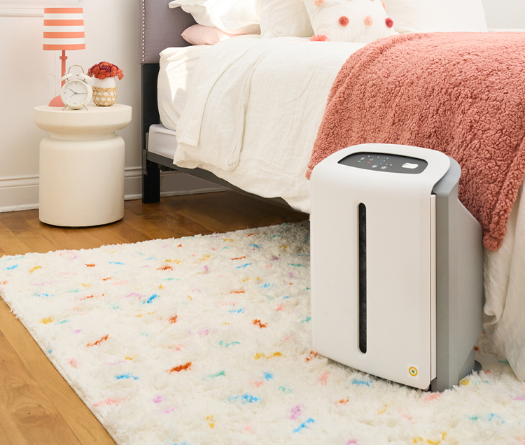 Atmosphere Mini PWP La Gourmet 3-Grid Cooker OR Noxxa Food Steamer ...