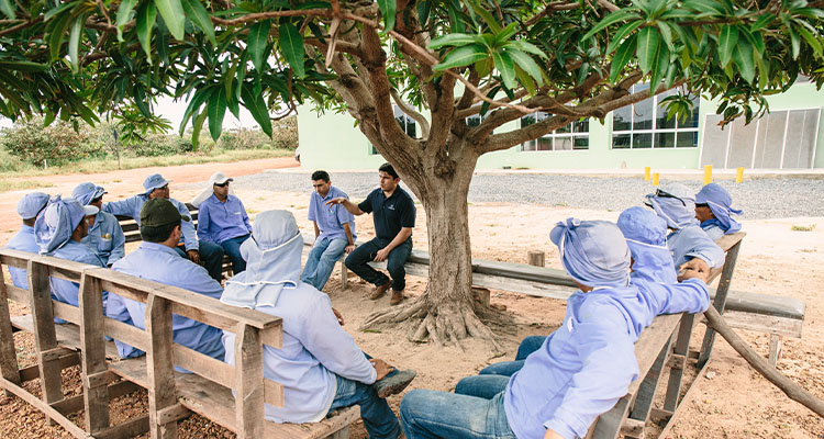 Nutrilite Pepper Tree Talks: Wisdom Under the Shade | Nutrition & Wellness