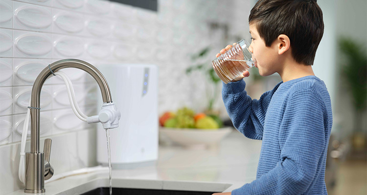 What Is The Difference Between Water Filter And Water Purifier? | Home ...