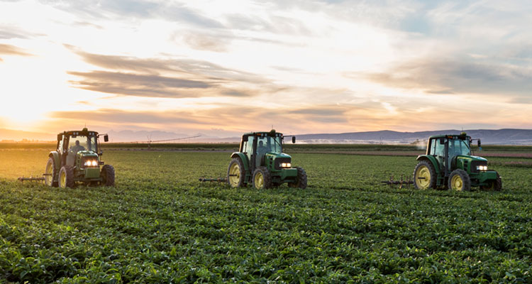 Witness the Power of Nutrilite | AmwayNow