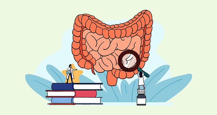 Optimal Health Starts with a Solid Foundation | Courses | Hari-Hari Nutrition