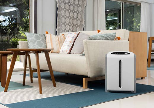 Atmosphere Mini | Amway Singapore