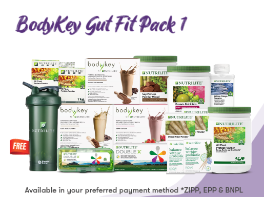 Gut Fit Programme Overview