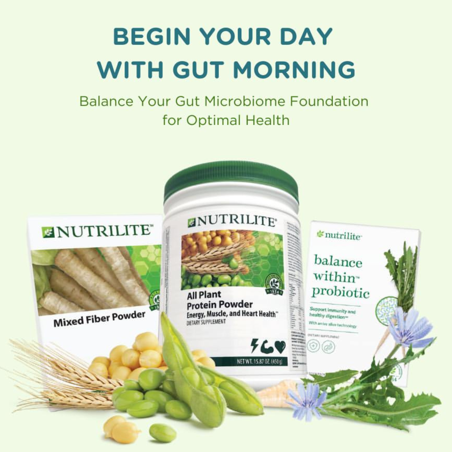 How Can Gut Morning Support My Health? | AmwayNow Singapore