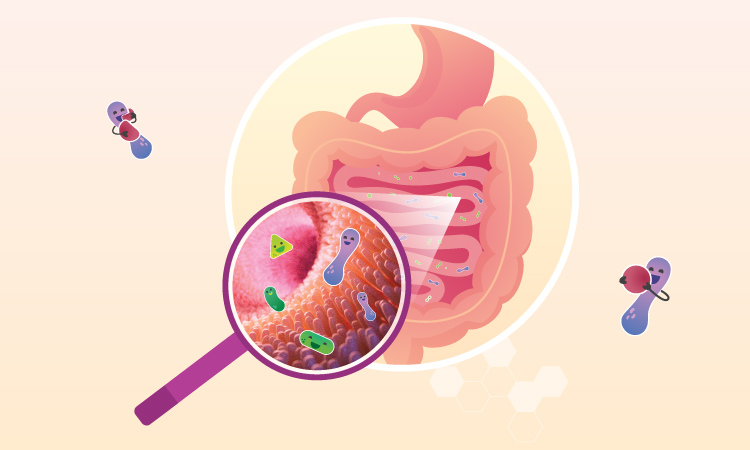 Nutrilite Mixed FOS with Grape Ferment: The Prebiotic for a ‘Slimmer ...