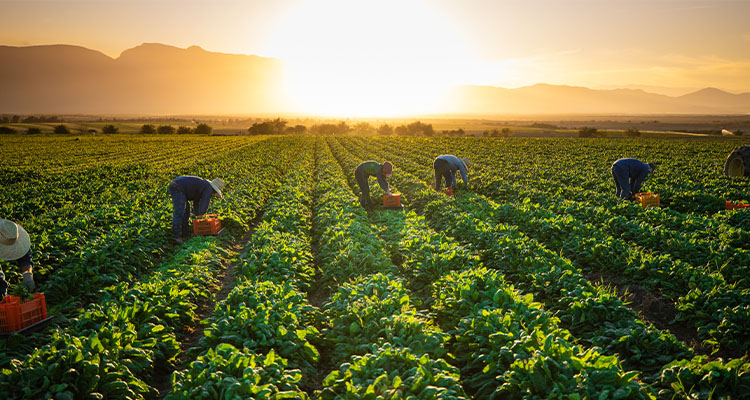 Nutrilite’s Commitment to Harmony and Sustainability | #Powerof90