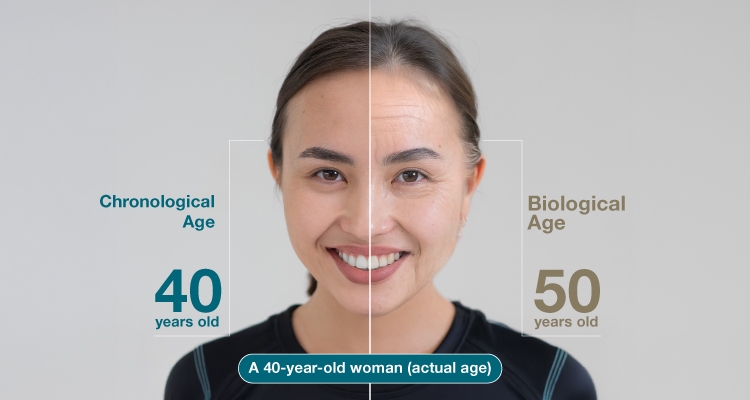 Healthspan vs Lifespan: Understanding Healthy Aging | Nutrition & Wellness