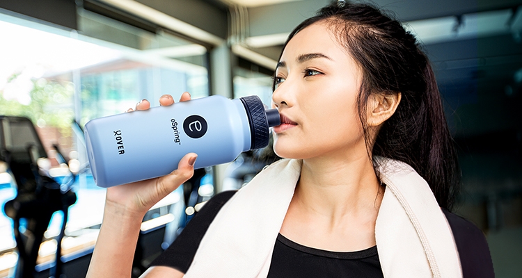 eSpring Cartridge Replacement OR e3 Carbon Filter PWP OVER Flask ...