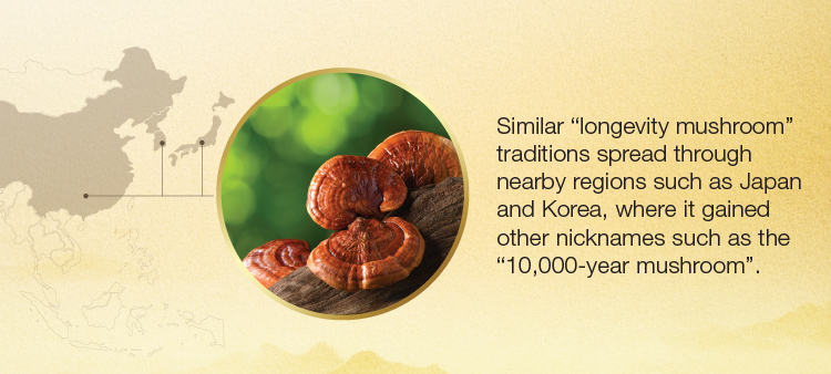 Ganoderma Lucidum: Traditional Wisdom Meets Modern Wellness | Nutrition ...