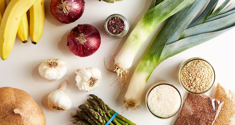 Gut Health Essentials: The Benefits of Protein, Probiotics, and Fibre ...