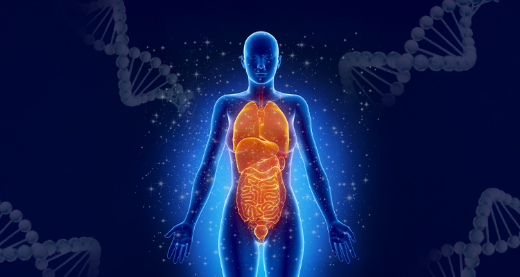 Everything You Need To Know About Cellular Health | Nutrition & Wellness
