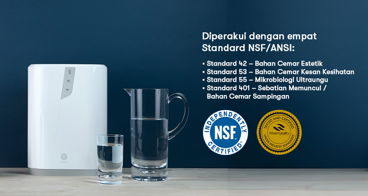 Temu bual eSpring: Rick Andrew, Pakar NSF