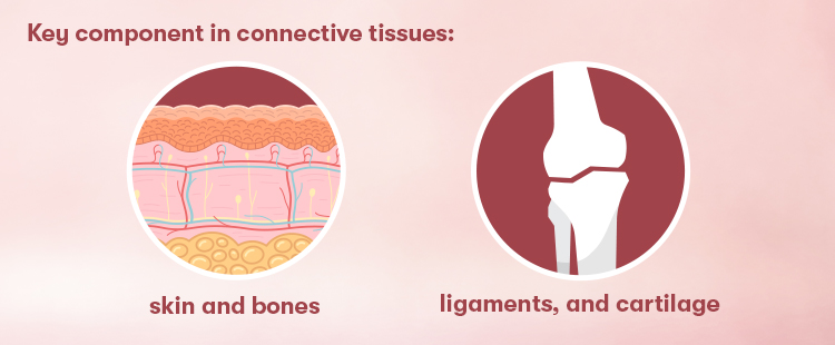 Collagen for Skin: The Secret to Healthy and Youthful Skin